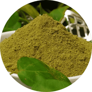 Thoothuvalai Powder - MicroBasket